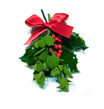 News Magazine: christmas mistletoe