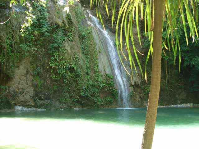 ©simplypetitay: PALO ALTO @ BARAS, RIZAL