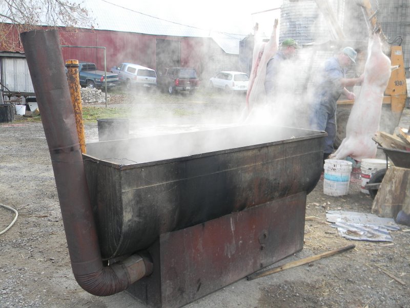 Home Joys: Hog Butchering 2011