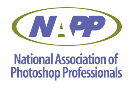 Being a NAPP Member and what it means..... - Darren House