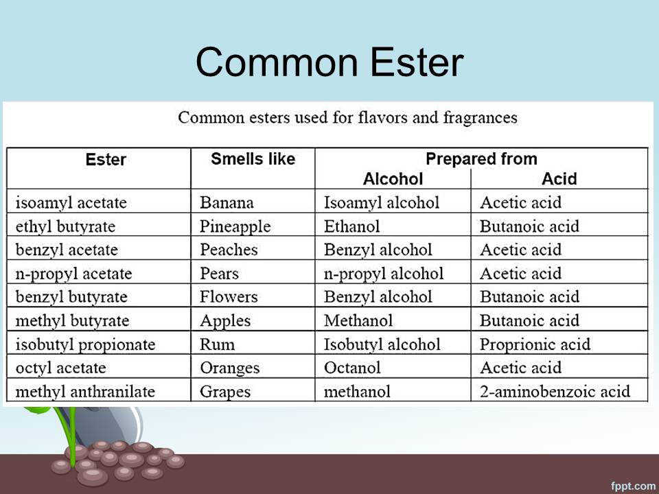 ESTERS ~ C A R B O N Compound