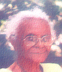 The African-Native American Genealogy Blog: The Sanders Family ...