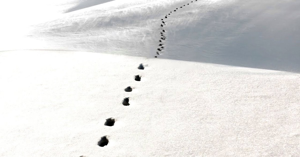 Παυλίδου Κάκια - Reflections...: Snowsteps