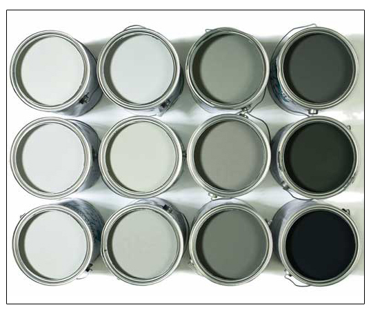 shabou: 50 Shades of Gray