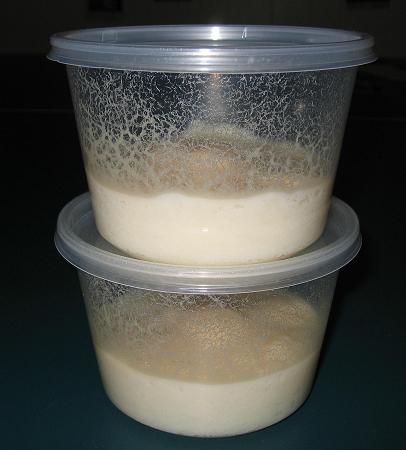 Singapore Fancy Guppies Enthusiast: Raising the Fry