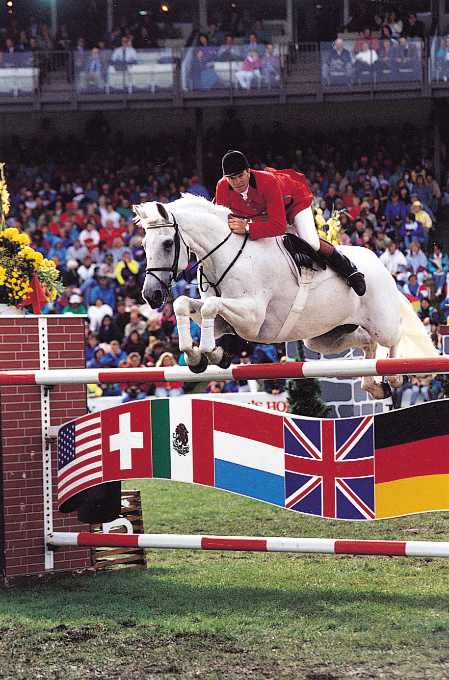 HD Animals Wallpapers: 09/21/11