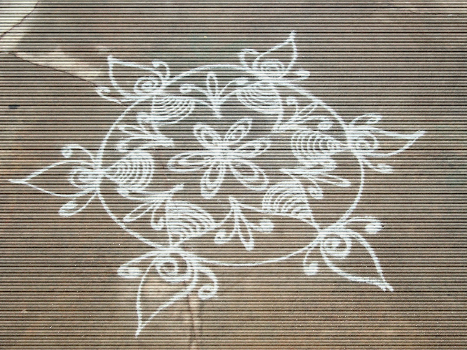 RANGOLI PHOTOS: Natural rangoli designs