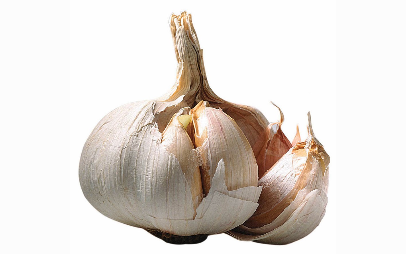 Os benefícios do Alho ~ Blog da Loja Ohashi