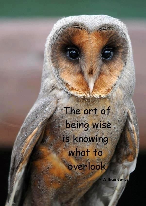 The art of being wise is knowing what to overlook - William James ~ God ...