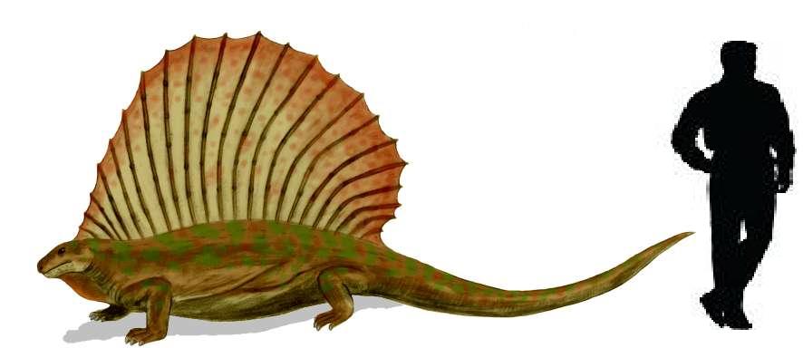 Los animales en la prehistoria: Animales prehistóricos con la letra E