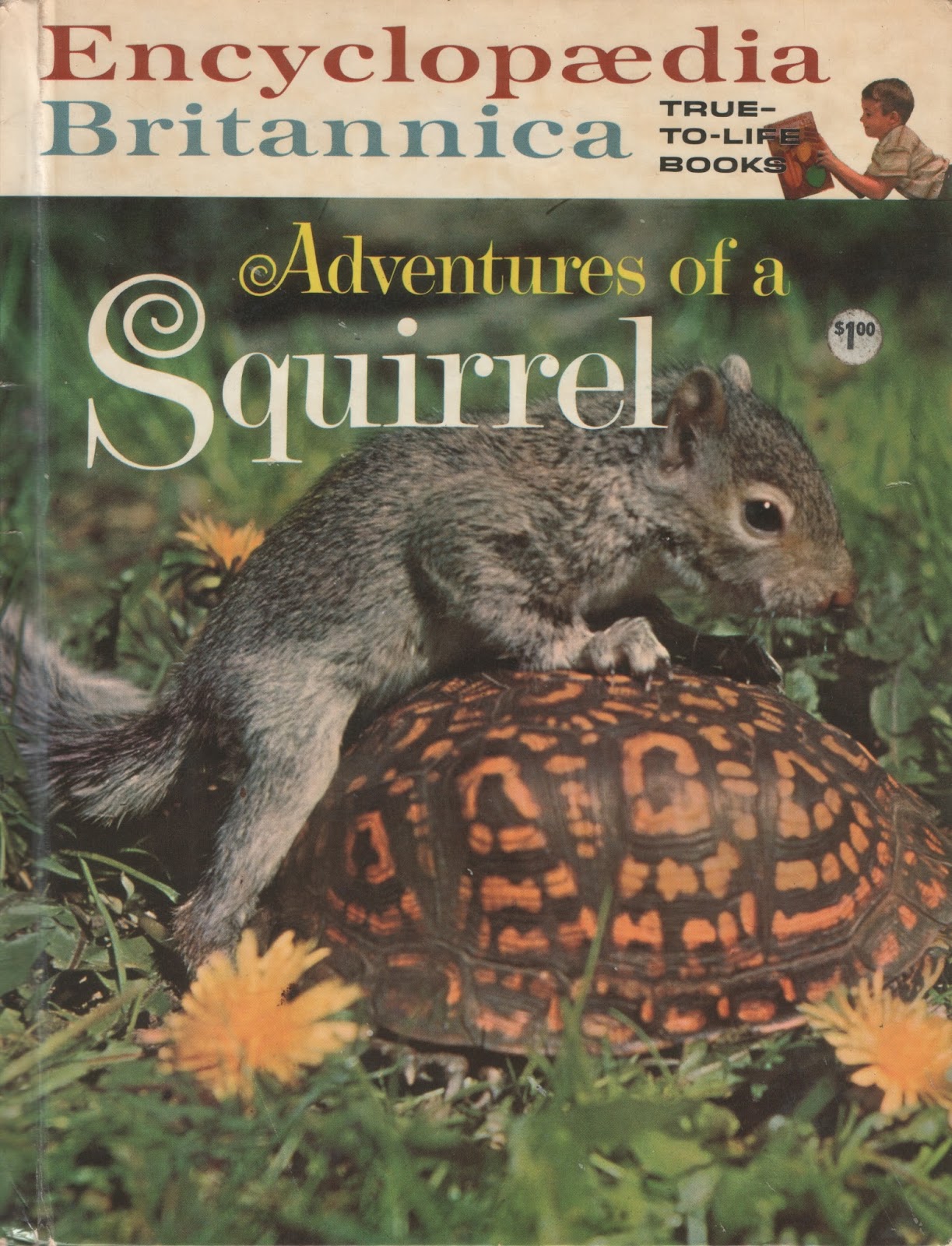 Squirrel Museum Cocoa Beach : SQUIRREL STUFF: 1962 children's book