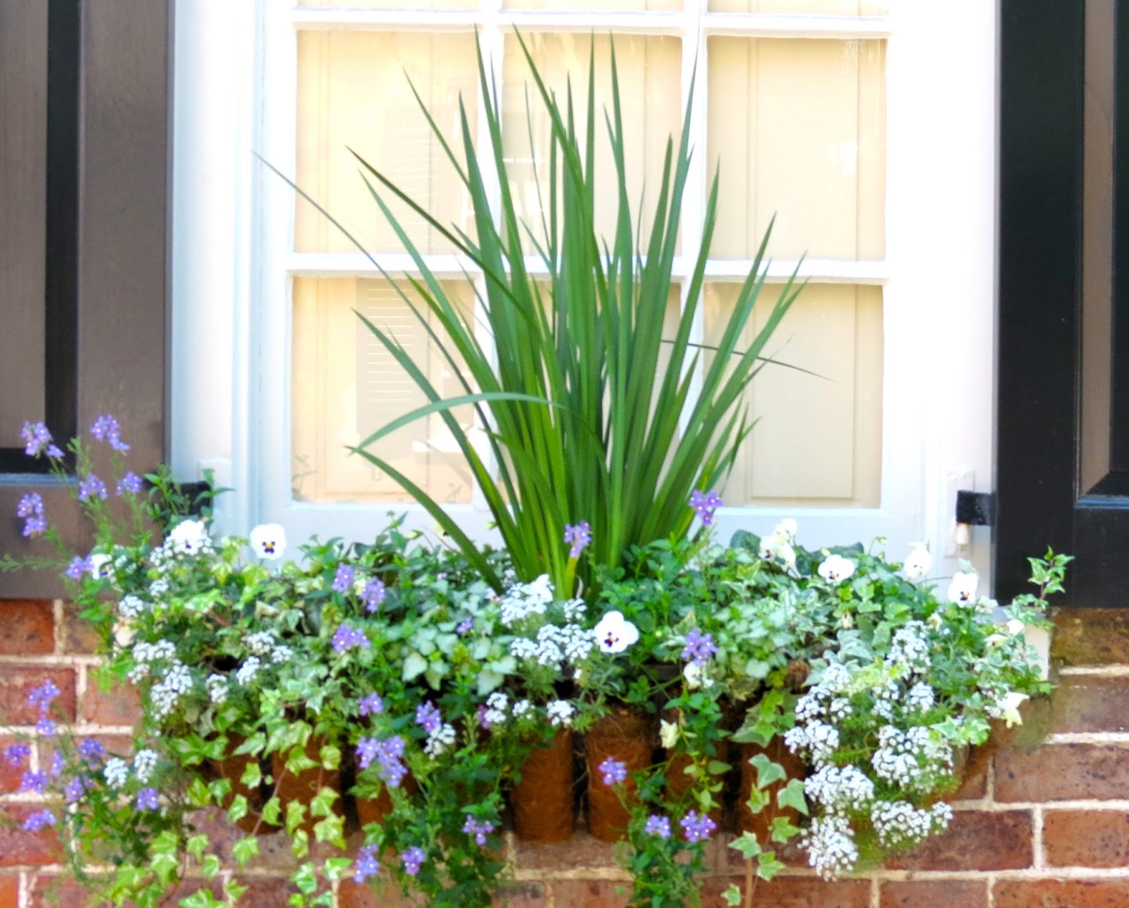 JLL DESIGN: Window Box Ideas & More Garden Inspirations