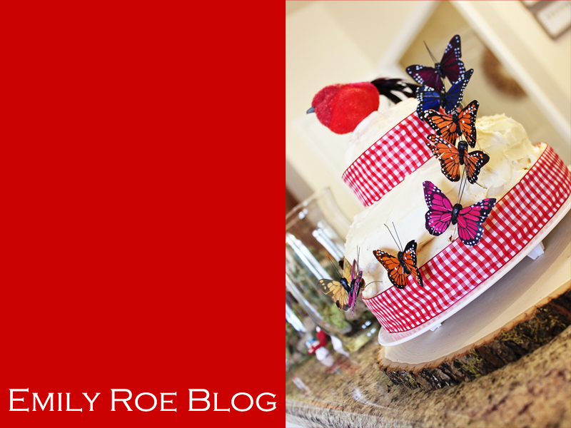 "Love, Emmie": Little Red Riding Hood and the Big Bad Wolf {Project Pretty}