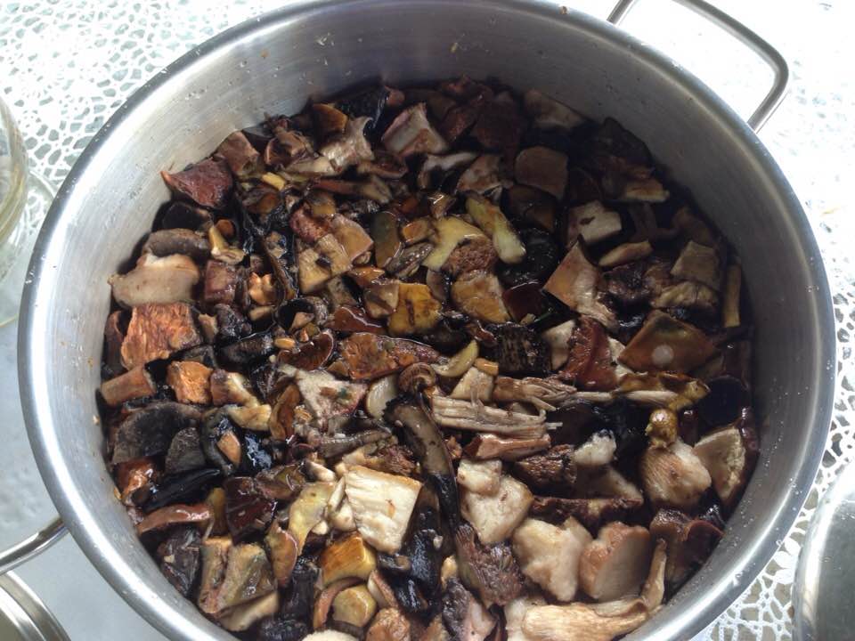 Hverdagsglimt...: Soppsoya