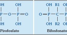 Bisfofonatos y su relación con Odontología