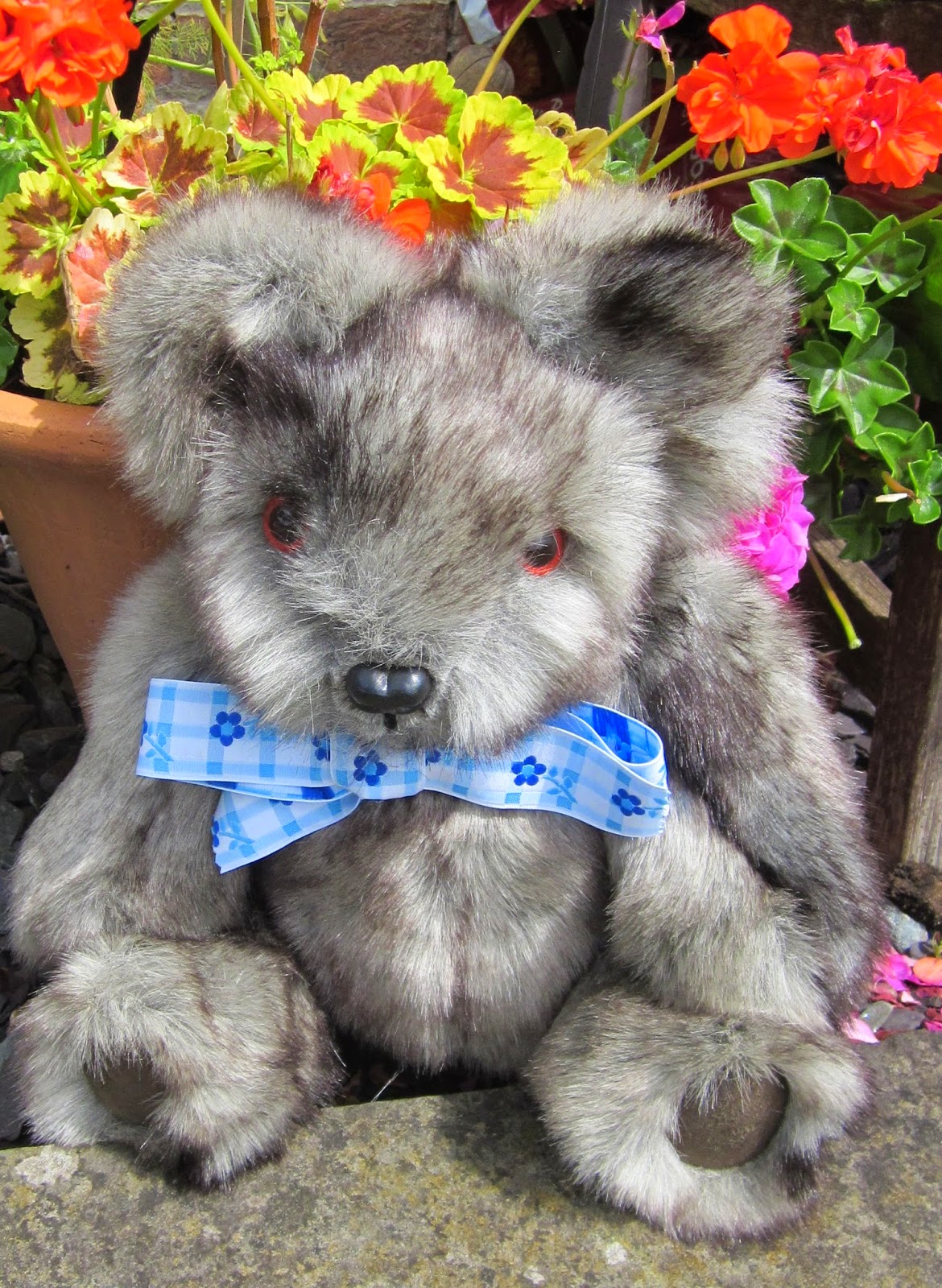 ColdhamCuddliescalling: Introducing Jasper Teddy Bear - Newest Bear in ...