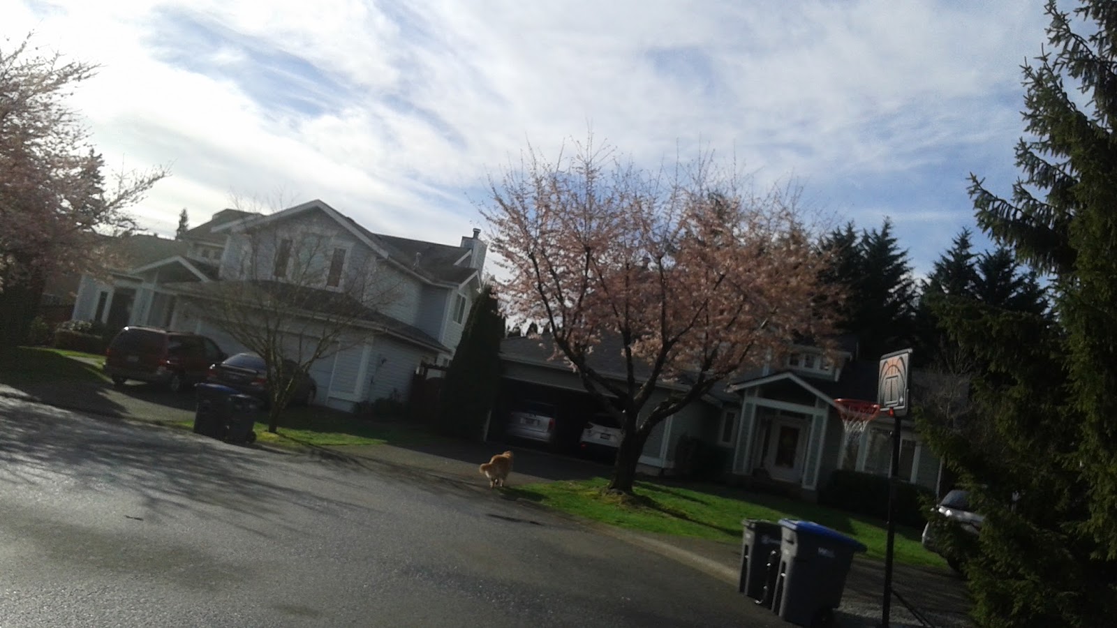 Barers of Maple Valley: Signs Of Spring