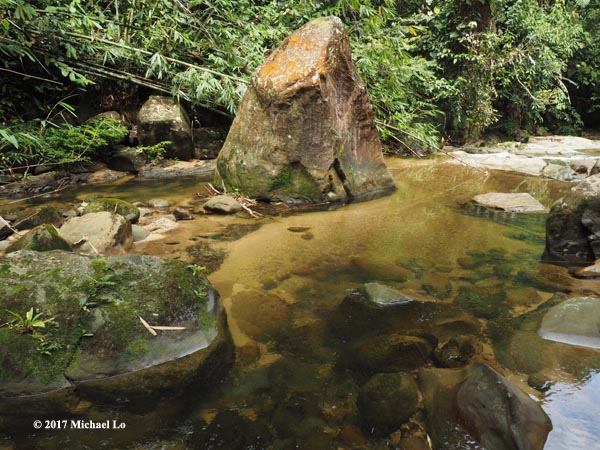 The rainforests of Borneo & Southeast Asia: River trekking @ Padawan ...