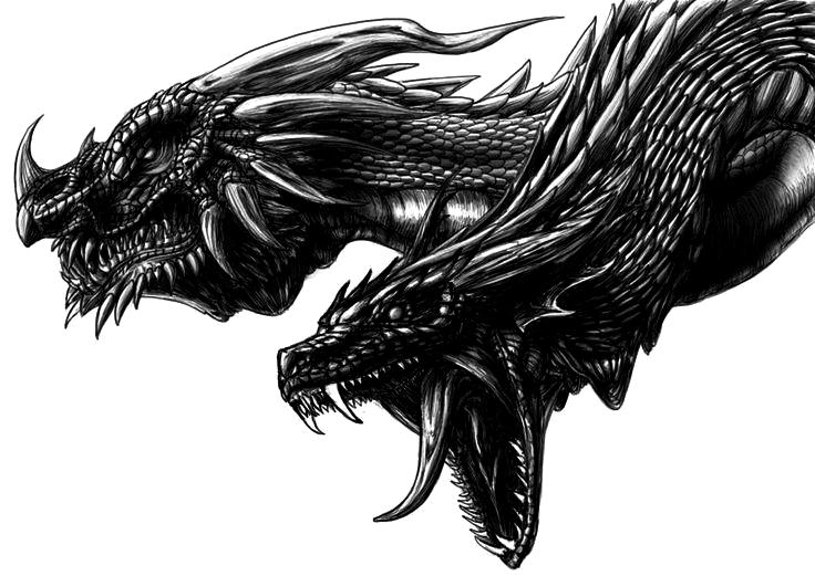 Salafi Aqeeda - THE FLAMING FALCON SWOOPING DOWN ON THE DISSENTERS OF ...