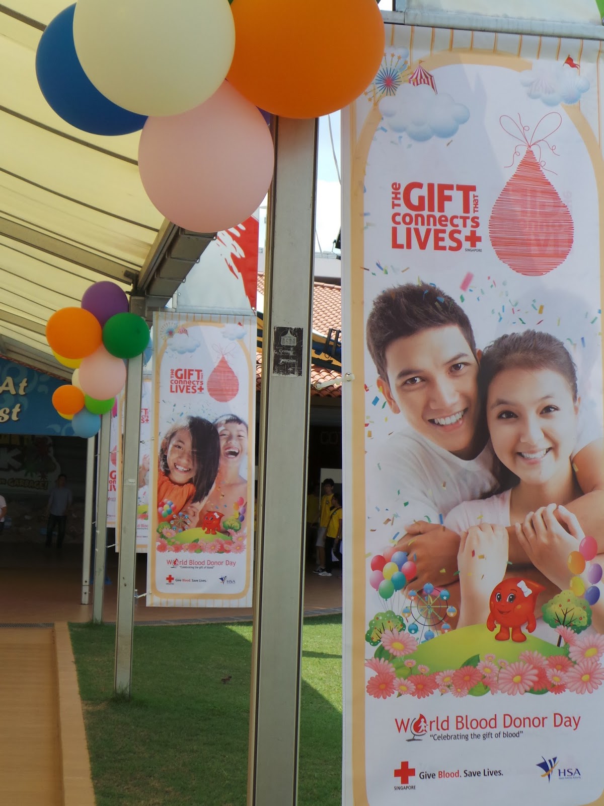 Lily Lee: Volunteer at the SRC booth for World Blood Donor Day Carnival