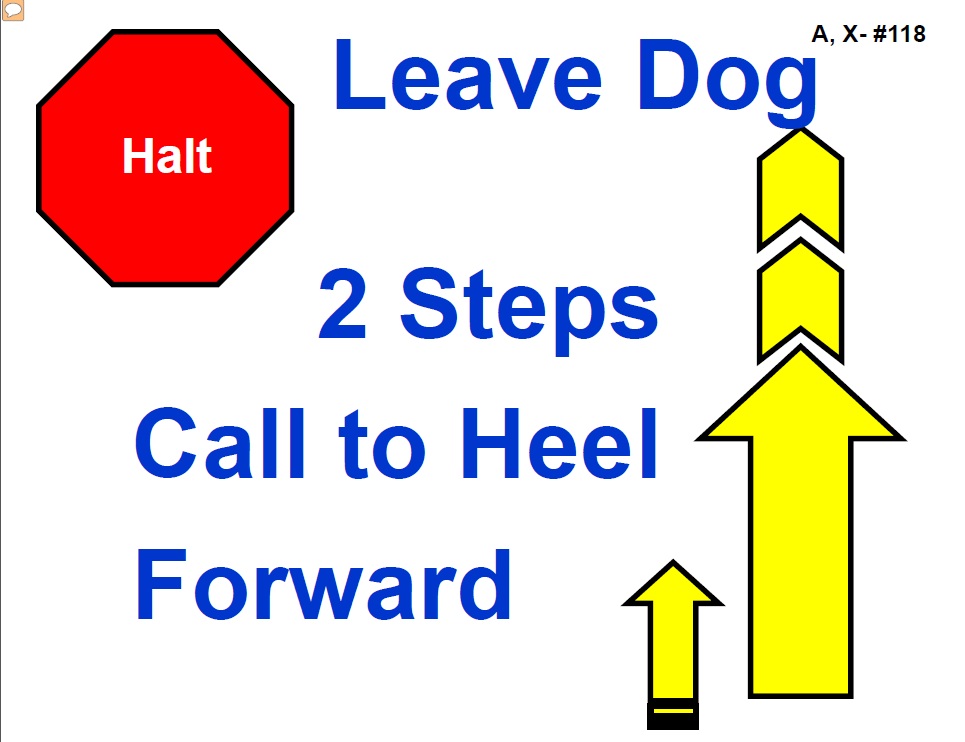 Amstaffs in the Garden: Rally Gets an Upgrade