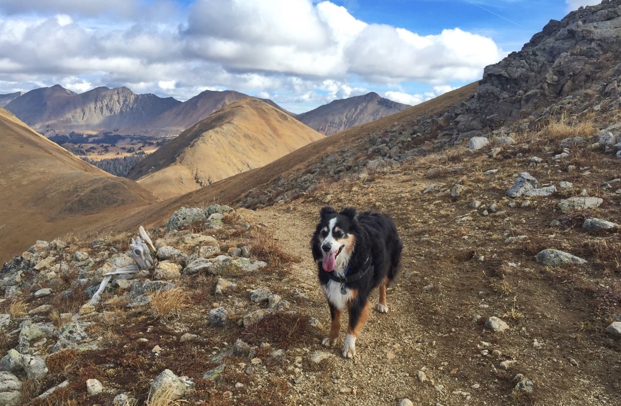 Colorado Adventures: Bowen-Baker Loop in Never Summer Wilderness
