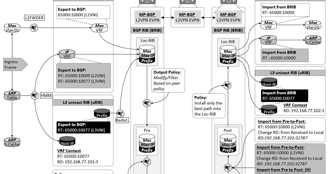 The Network Times Vxlan Part Xv Analysis Of The Bgp Evpn Control Plane Operation