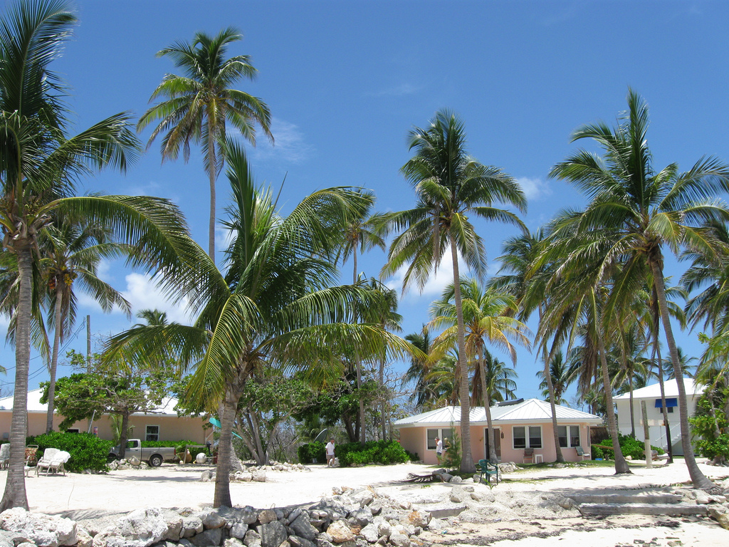 Most Beautiful Islands: Cayman Islands Caribbean-Little Cayman