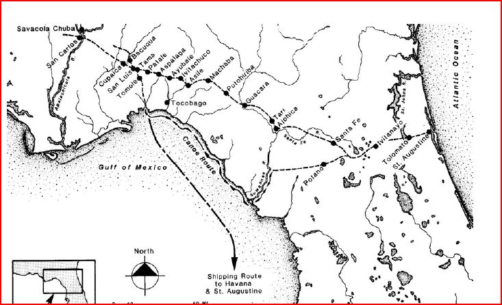 The Treasure Beaches Report Direct From Florida's Treasure Coast.: 6/28 ...