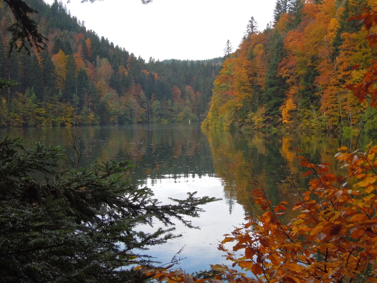 Images de voyages des Senn: Le Locle ... et le Doubs (rivière)