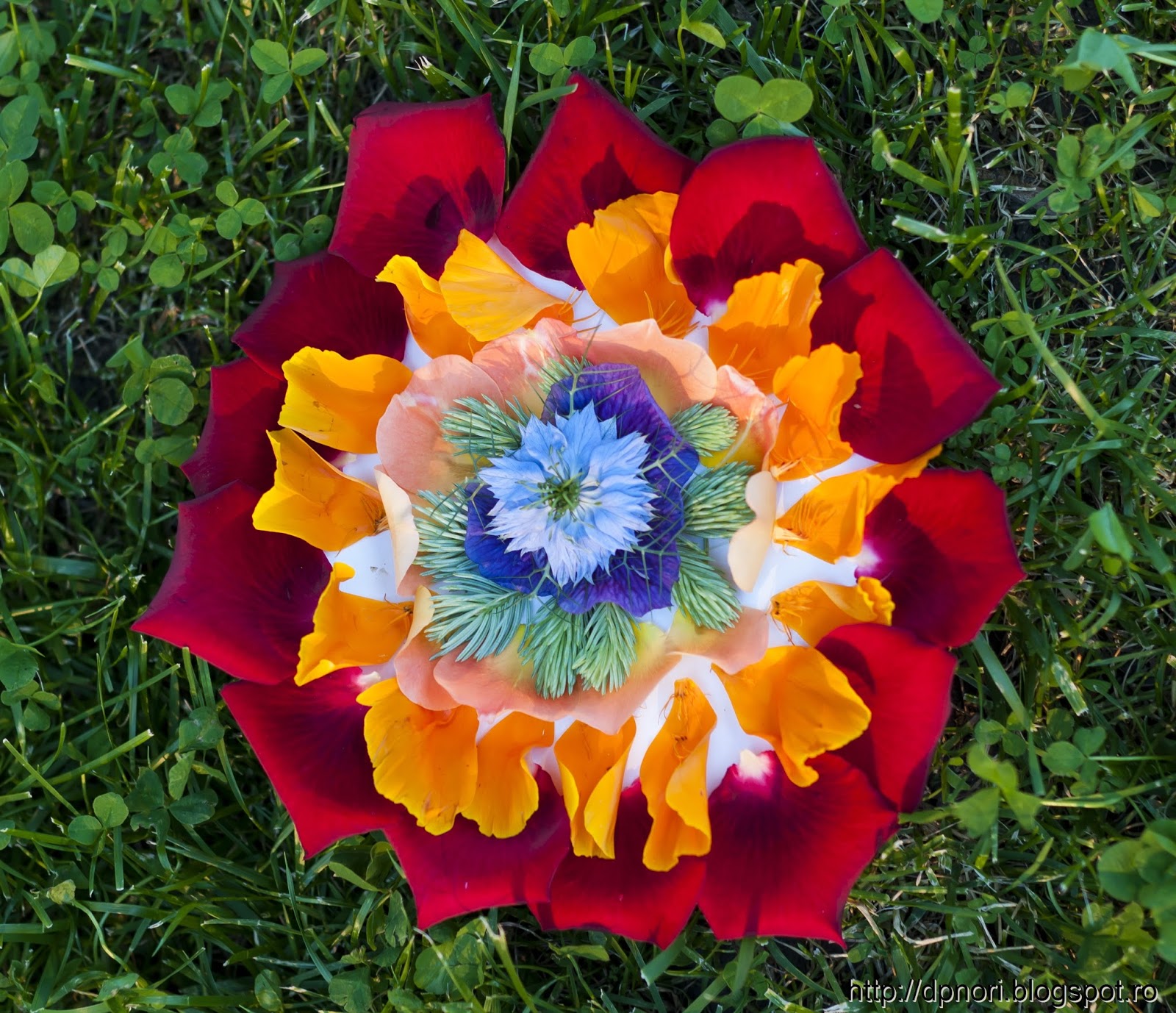 .printre nori: Mandala curcubeu - activitati cu flori