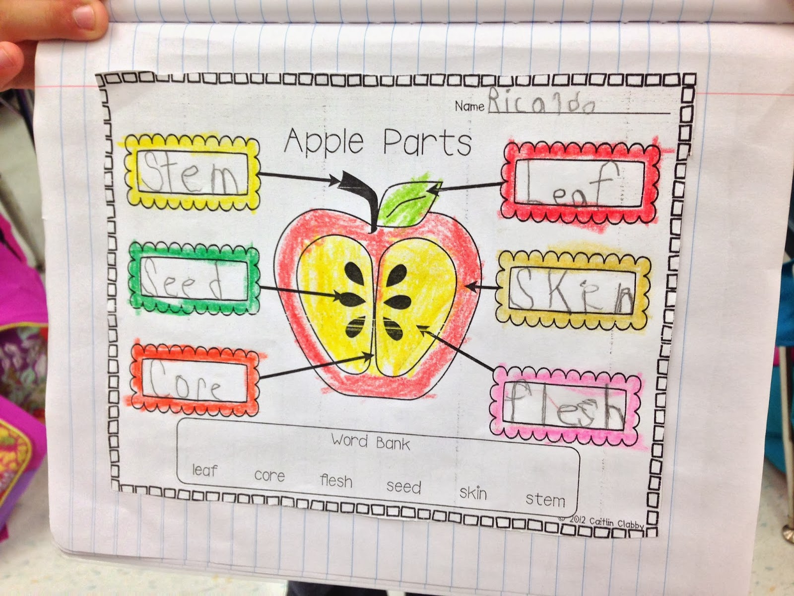 Kindergarten Smiles: Learning All About Apples!