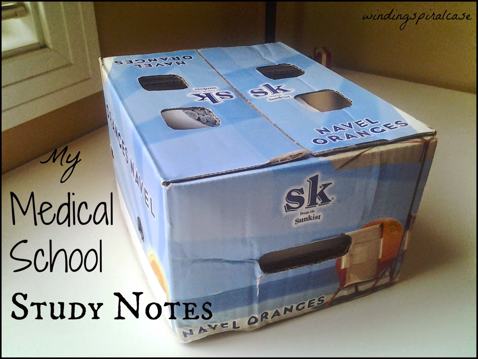 Winding Spiral Case: My Medical School Study Notes