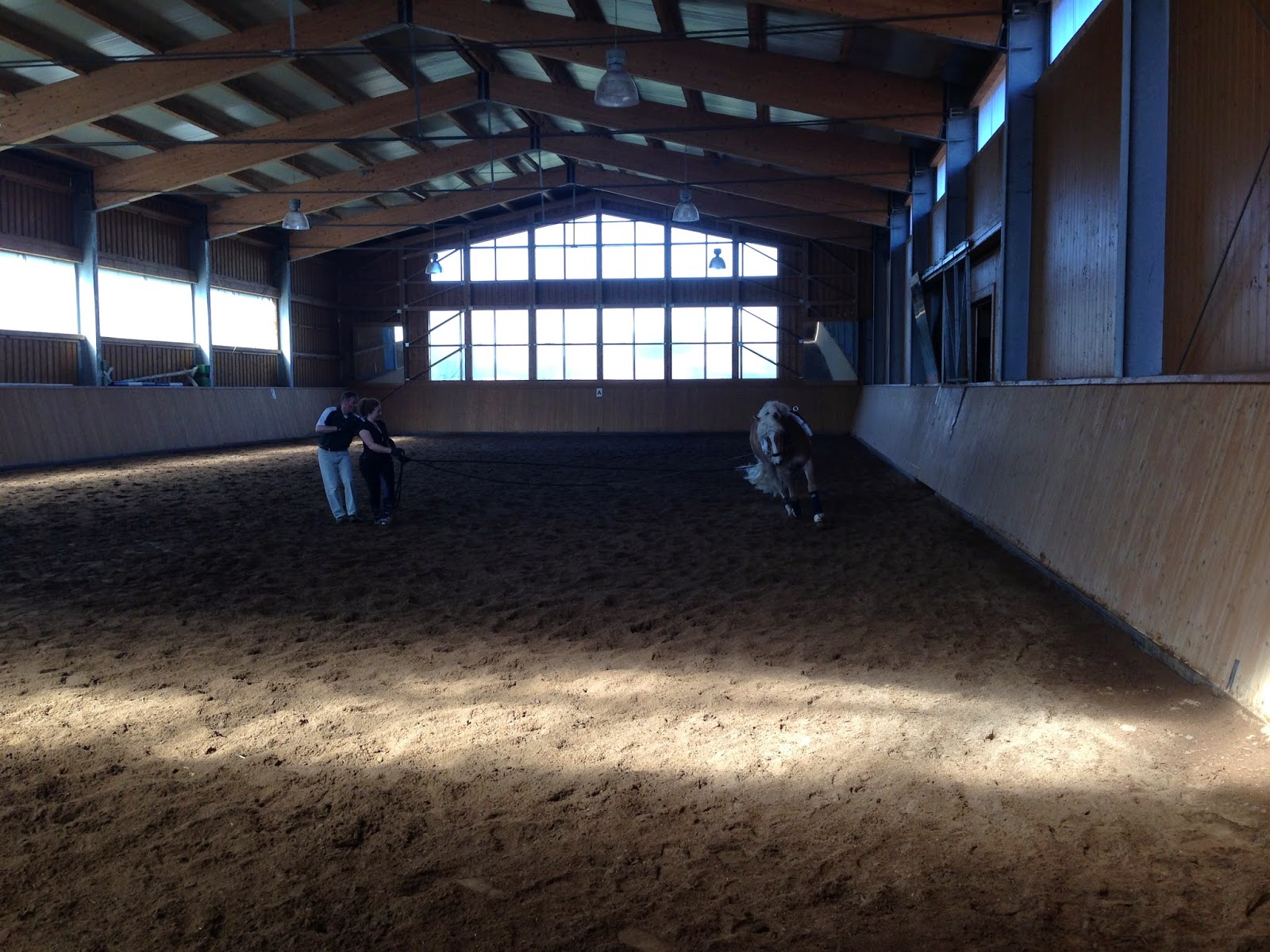 [Training Tuesday] What Lunging Is All About - Dressage Hafl