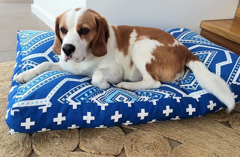 Lazy Tails Designs - Coby Dog Bed | Australian Dog Lover