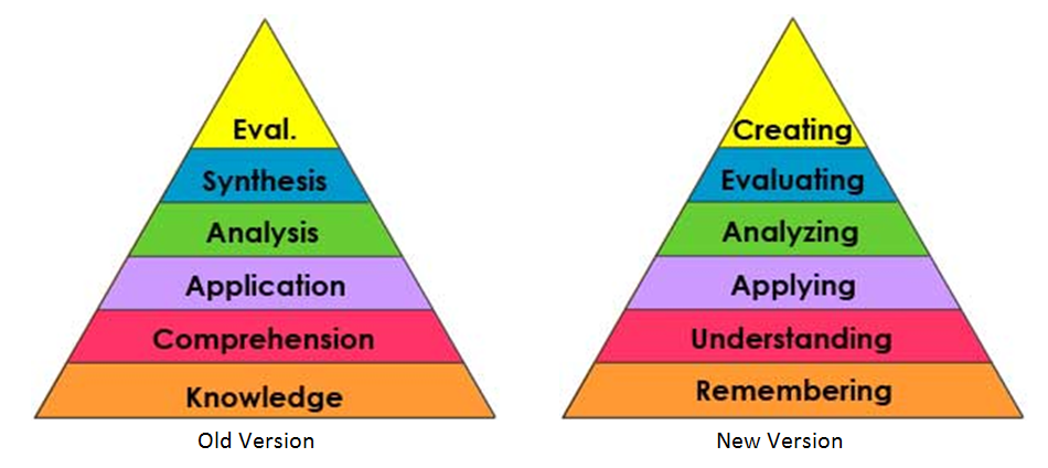 My IRG Blog - Digital Literacy in Higher Education: Digital Literacy ...