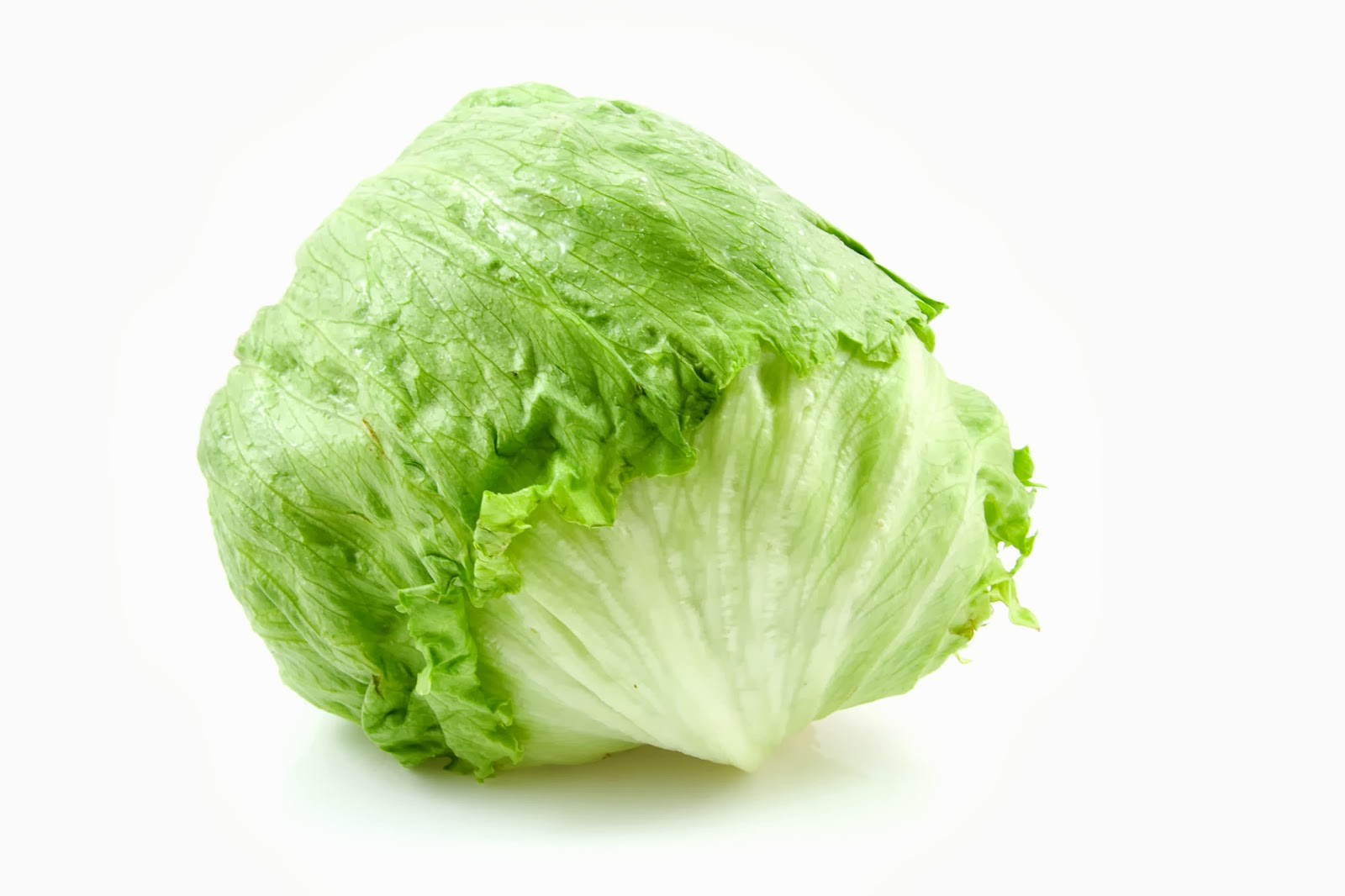 Lechuga wallpapers