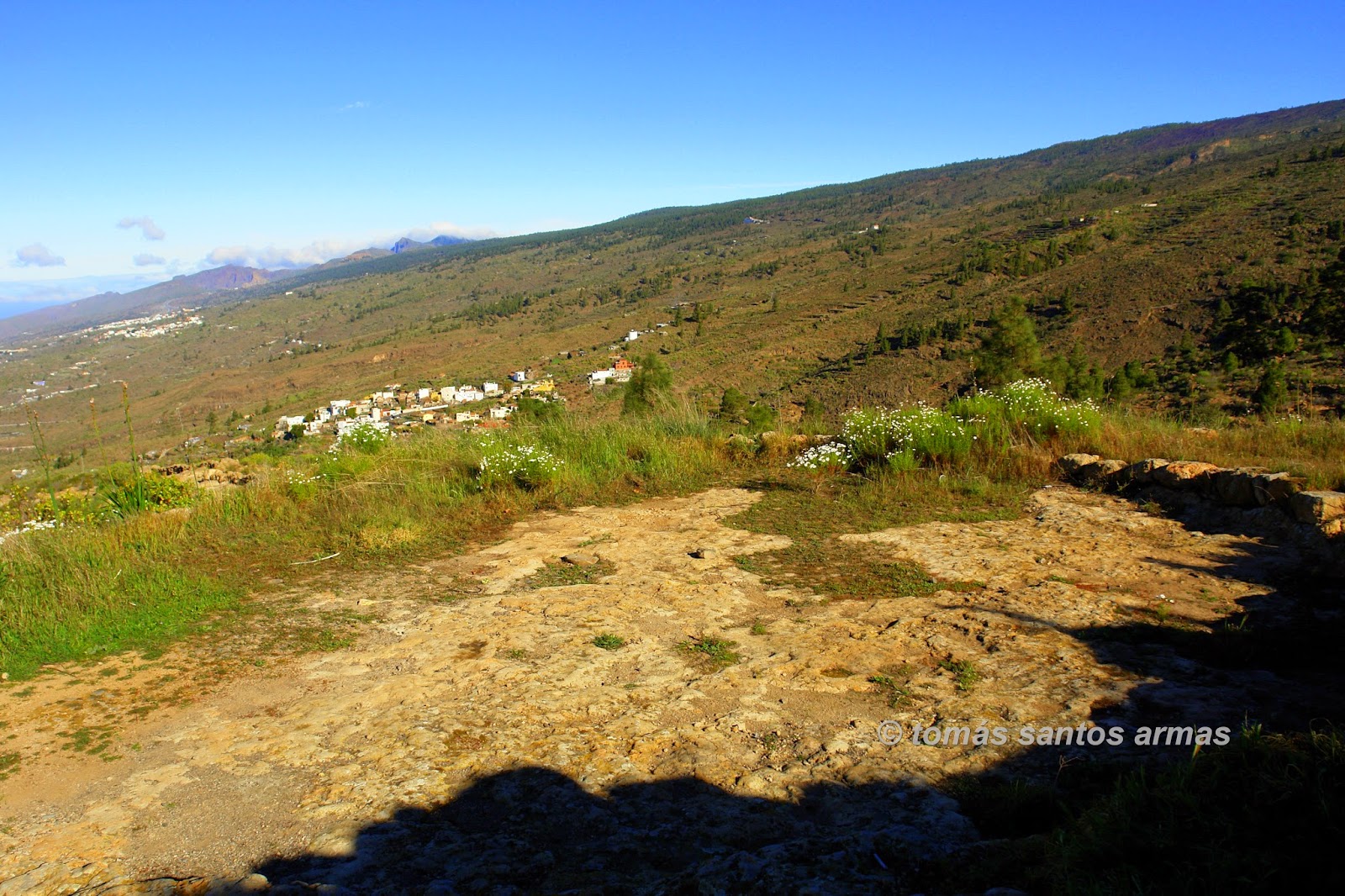 Tenerife senderos......: febrero 2015