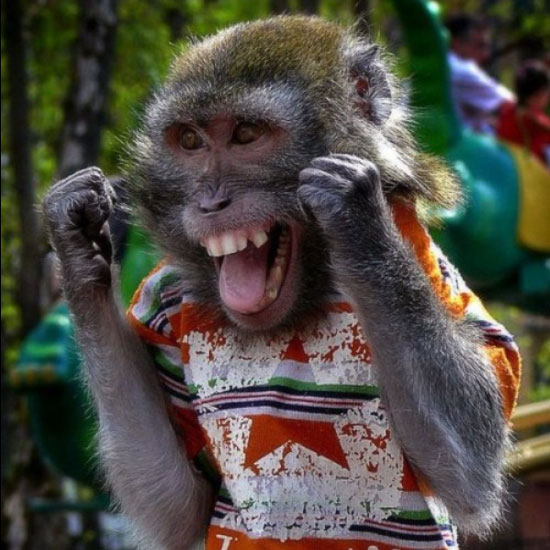 Dennys Art Sanctuary: Ouch Outrageous Obnoxious and Odd: Funny Cartoon ...