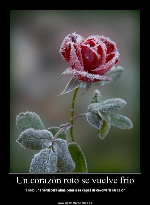 ver imagenes de amor online desmotivaciones con frases poemas rosas ...