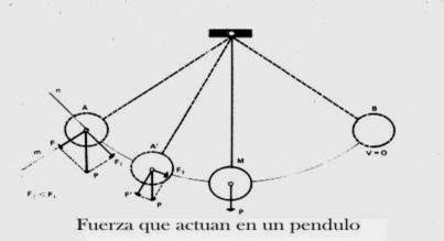 ciencias naturales: Movimiento Pendular