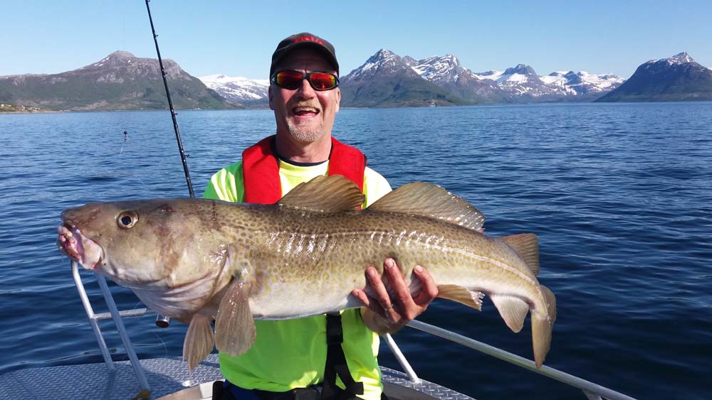 Dahléns Fiske: Havsfiske i Norge