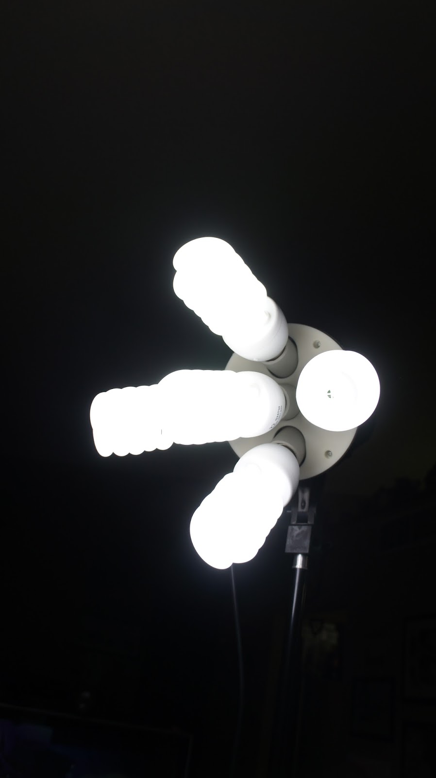 Continuous Daylight Lighting Studio Kit with Carrying Case by Emart ...