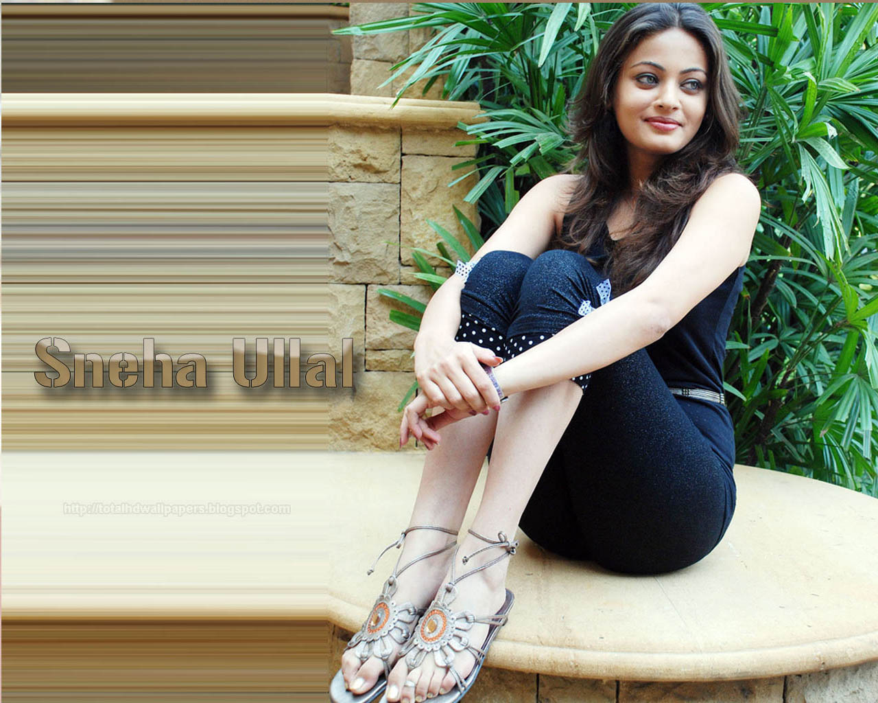 Actresses HD Wallpapers: Sneha Ullal HD Wallpapers