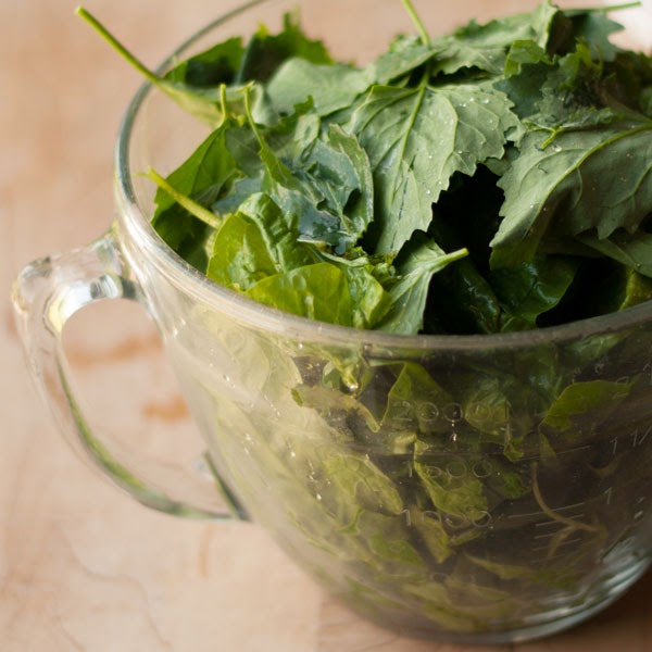 The Earth of India: All About Bathua (Chenopodium album)