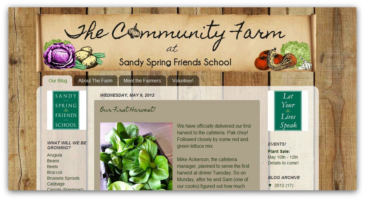 The Community Farm's First Harvest - Pak Choy! - Amusing Foodie