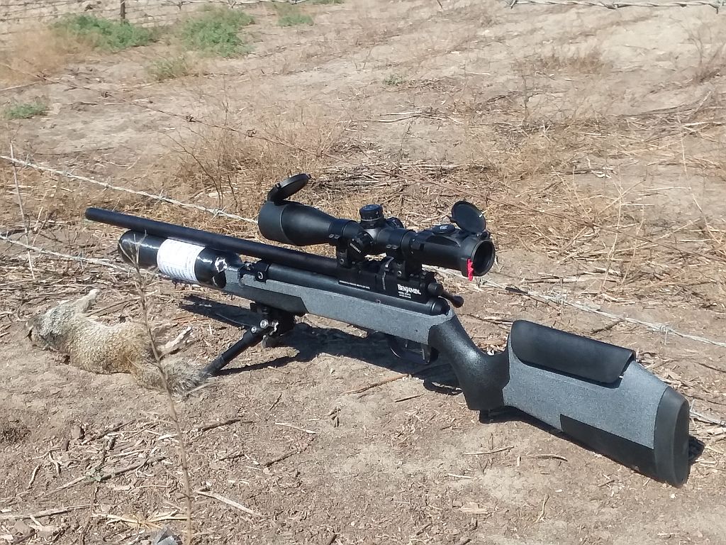 Tofazfou's HPA (high powered air gun) Expeditions: JSB HADES 22 caliber ...