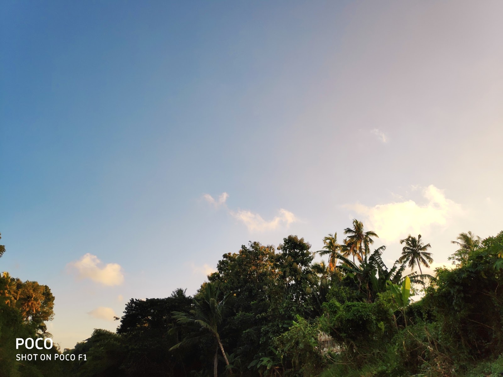 POCO F1 Camera samples - TECHPHLIE