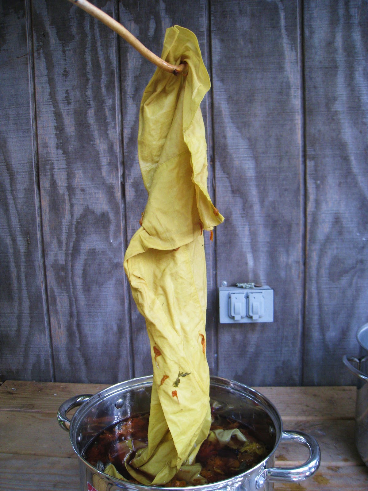 Honeysuckle Cottage and Wisteria Studio: Marigold Dye