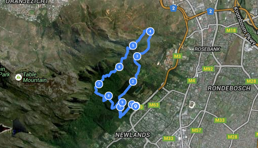 Newlands Forest Trail Run